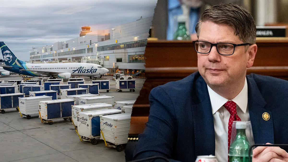 Zastoj u radu zbog ICE-a prijeti članovima službe, FEMA, TSA - Vijesti ...